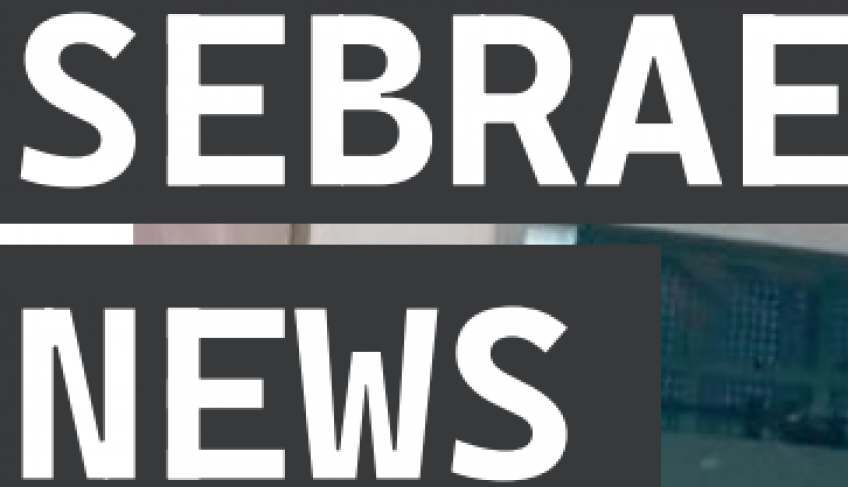 Comunicado Sebrae News | ASN Ceará - Agência Sebrae de Notícias